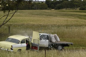 The Trouble with Harry | McLeod's Daughters Wiki | Fandom