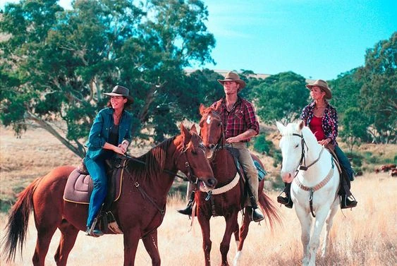 Steer Trek | McLeod's Daughters Wiki | Fandom