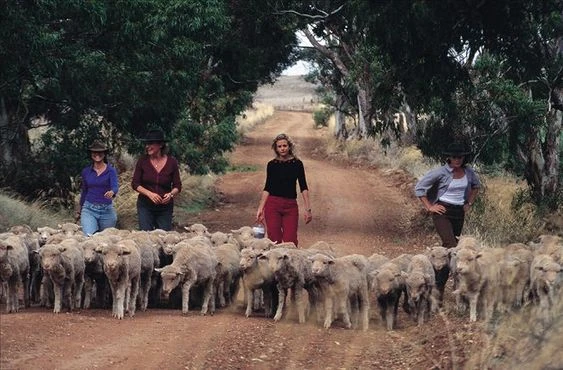 Who's the Boss? | McLeod's Daughters Wiki | Fandom