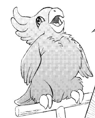 Kokapetl | Mcog Wiki | Fandom