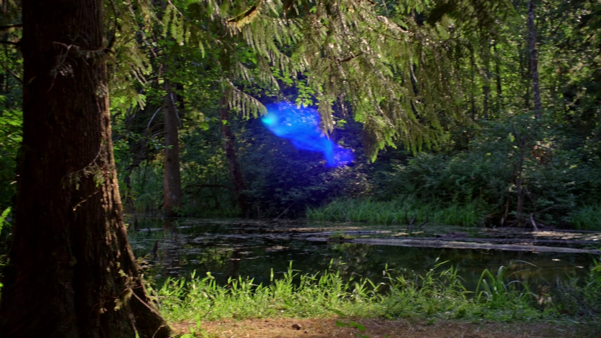 Will-o'-the-wisp | MD1456 Once Upon a Time Fanon Wiki | Fandom