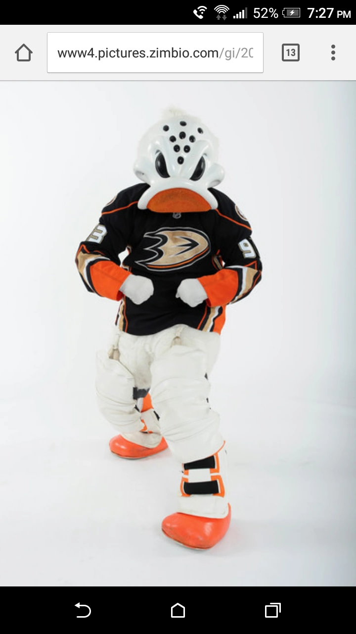 Wild Wing | The Mighty Ducks Wiki | Fandom