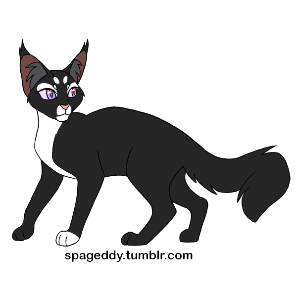 Hollykit | MeadowClan RolePlay Wiki Wiki | Fandom