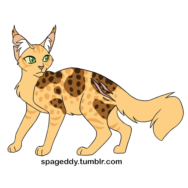 MeadowClan | MeadowClan RolePlay Wiki Wiki | Fandom