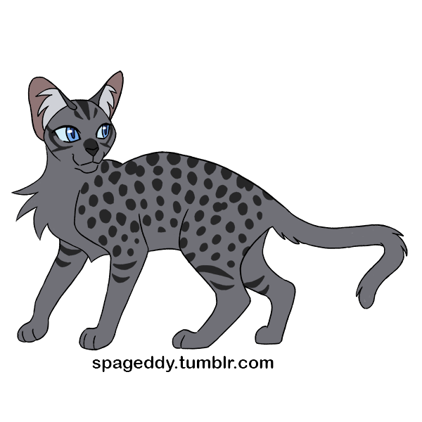 Stormheart | MeadowClan RolePlay Wiki Wiki | Fandom
