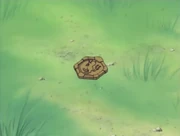 West Medal | Medabots Wiki | Fandom