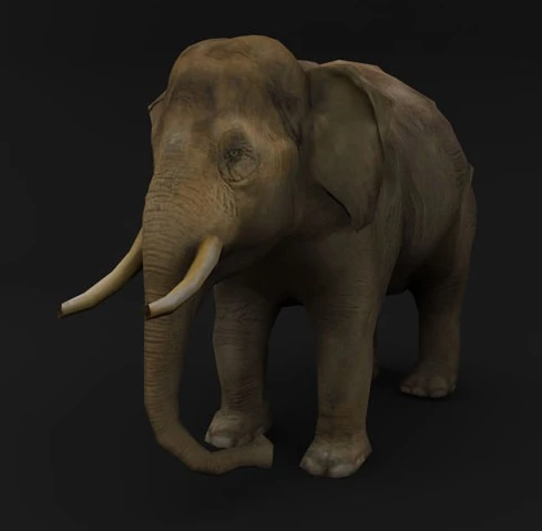 Elephant | Medal of Honor Wiki | Fandom