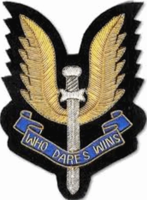 SAS | Вікі Медаль за Честь | Fandom