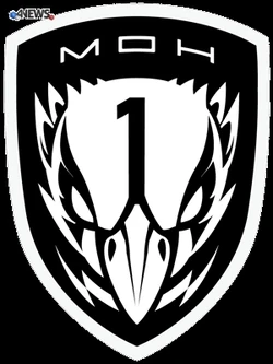 Medal Of Honor Warfighter Logo