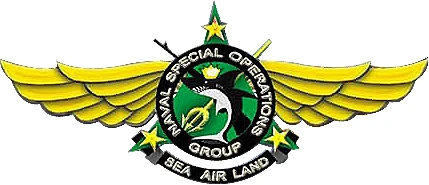 NAVSOG | Medal of Honor Wiki | Fandom