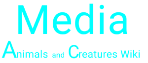 Media Animals And Creatures Wiki | Fandom