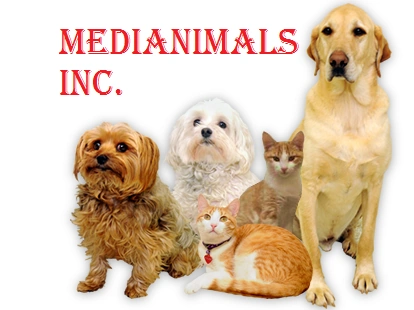 Medianimals Inc. | Medianimals Wiki | Fandom
