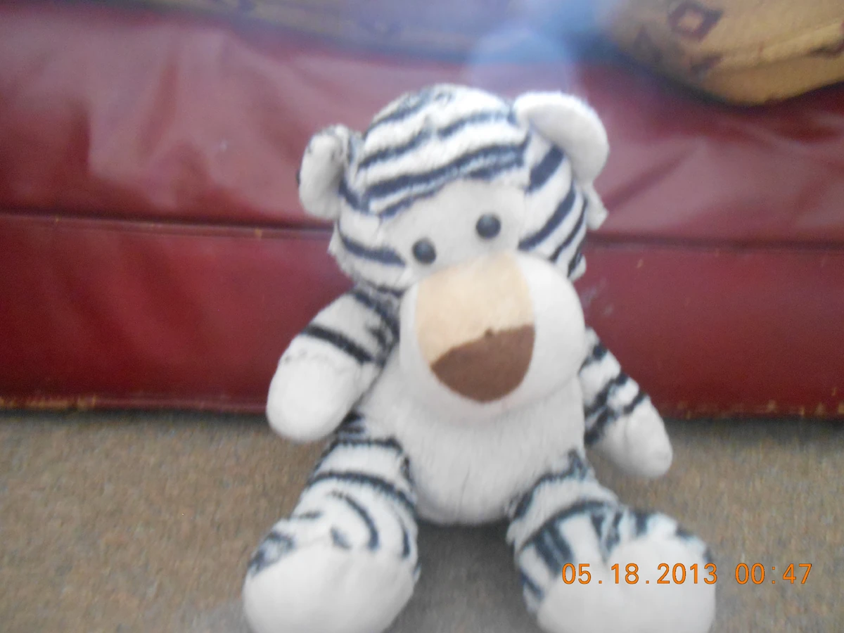 Timmy Tiger | Medianimals Wiki | Fandom