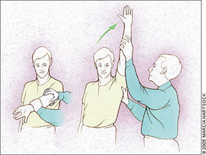 Test de Neer | Medicina Wiki | Fandom