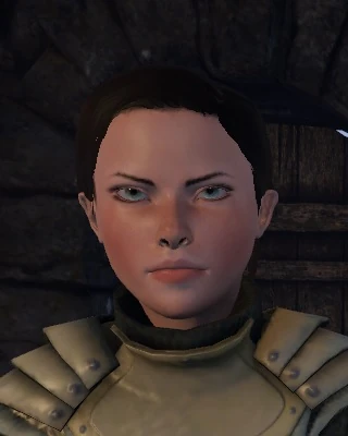 Saka | Medieval Blacksmith Simulator Wiki | Fandom