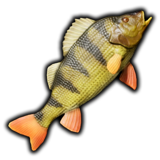 Perch (fish) | Medieval Dynasty New Settlement Wiki | Fandom