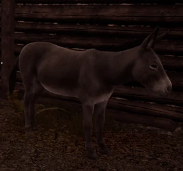 Donkey | Medieval Dynasty Wiki | Fandom