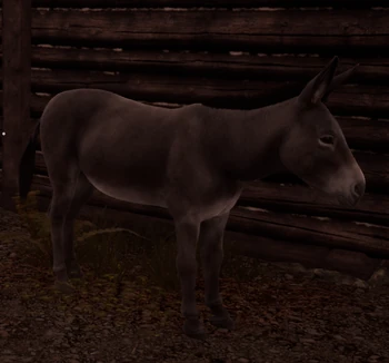 Donkey | Medieval Dynasty Wiki | Fandom