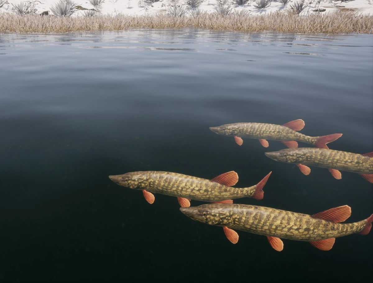 Pike | Medieval Dynasty Wiki | Fandom