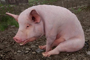 Pig | Medieval Dynasty Wiki | Fandom