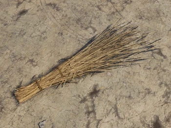 Straw | Medieval Dynasty Wiki | Fandom