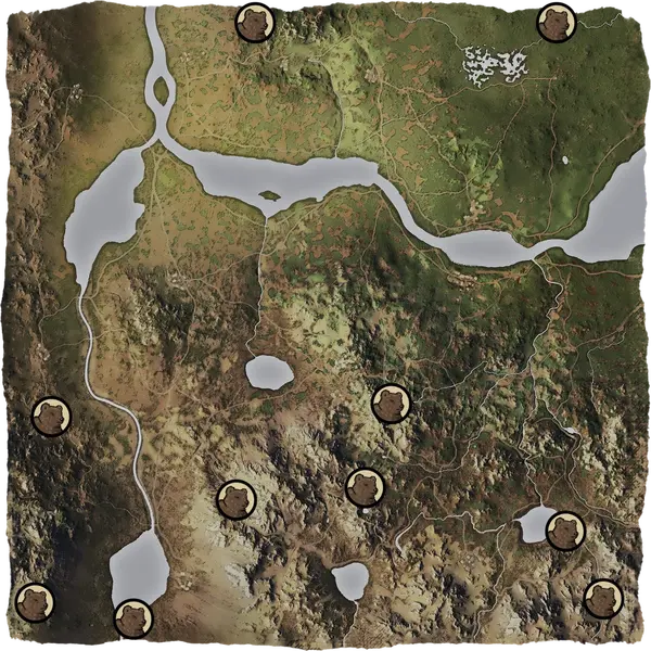 Ведмідь | Вікі Medieval Dynasty | Fandom
