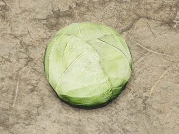 Cabbage | Medieval Dynasty Wiki | Fandom