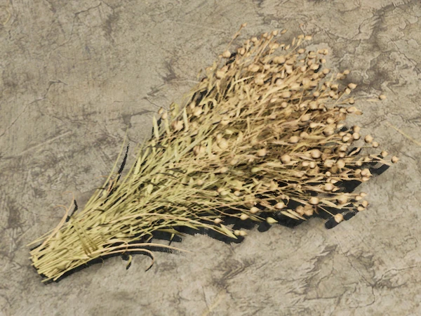 Flax | Medieval Dynasty Wiki | Fandom