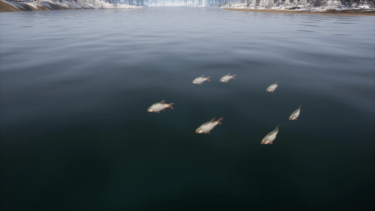 Roach | Medieval Dynasty Wiki | Fandom