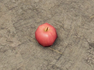 Apple | Medieval Dynasty Wiki | Fandom