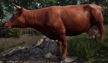 Cow | Medieval Dynasty Wiki | Fandom