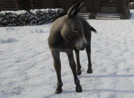 Donkey | Medieval Dynasty Wiki | Fandom