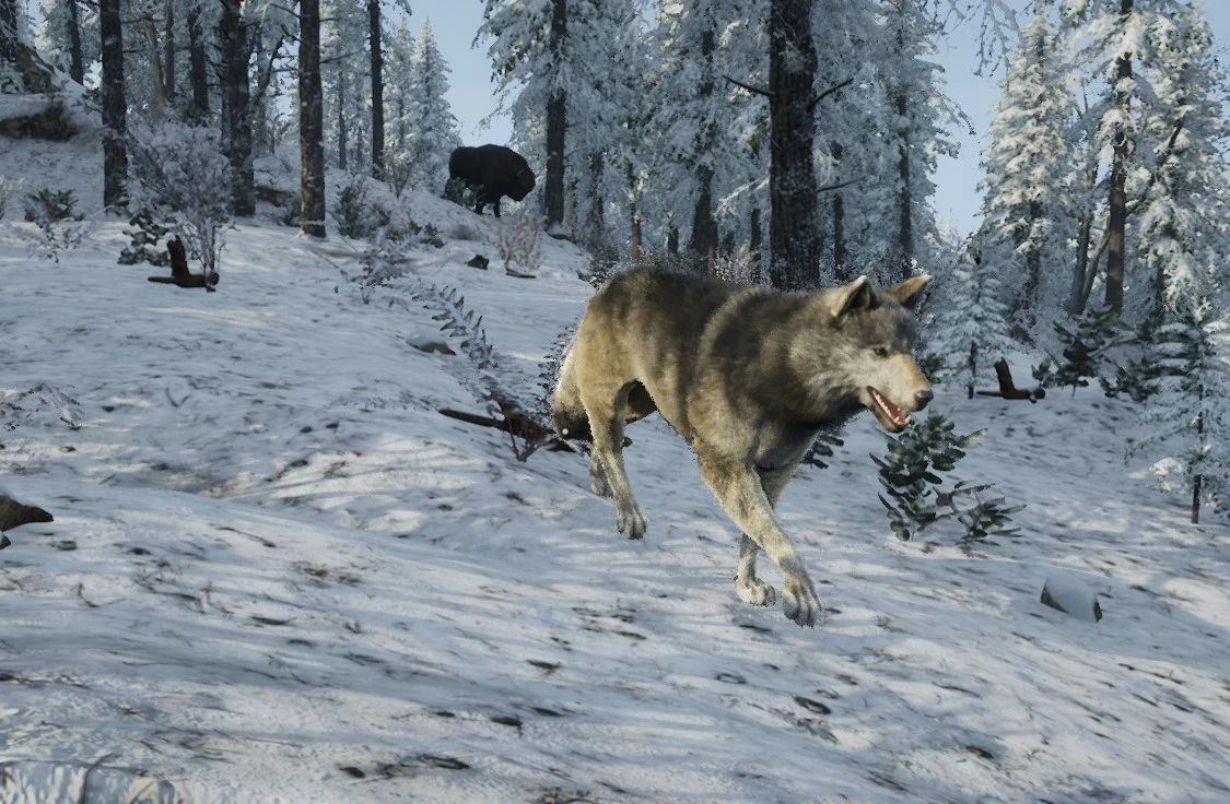 Wolf | Medieval Dynasty Wiki | Fandom