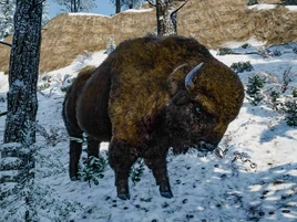 Wisent | Medieval Dynasty Wiki | Fandom