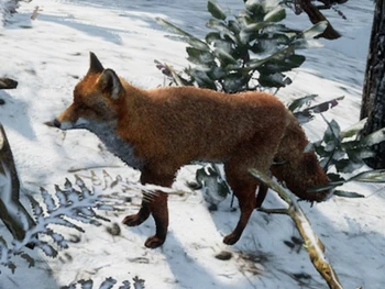 Fox | Medieval Dynasty Wiki | Fandom