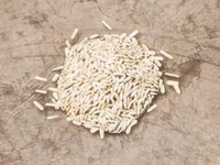 Rye | Medieval Dynasty Wiki | Fandom