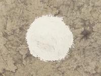 Rye | Medieval Dynasty Wiki | Fandom