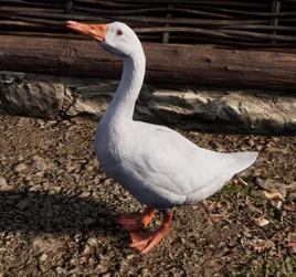 Goose | Medieval Dynasty Wiki | Fandom