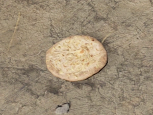 Flatbread with Onion | Medieval Dynasty Wiki | Fandom