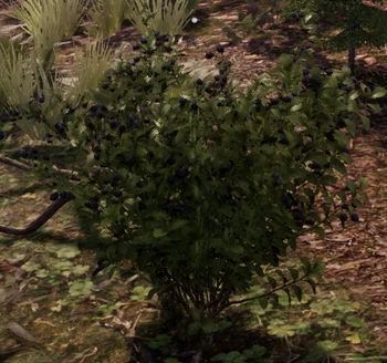 Berry Bush | Medieval Dynasty Wiki | Fandom