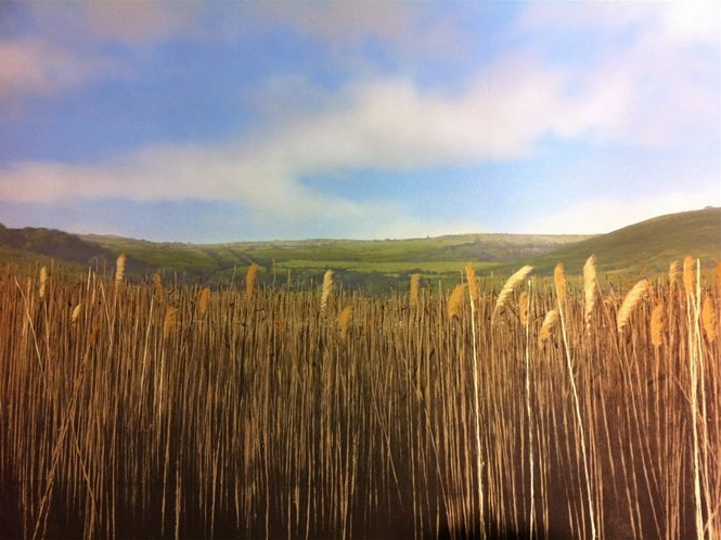 Ottery St Catchpole | Medieval Hogwarts Roleplay Wiki | Fandom