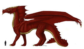 Dragon | Medieval Universes Wiki | Fandom