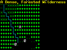 Forest of Alendora | Medievia Wiki | Fandom