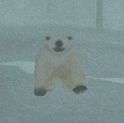 MEDVED | MEDVED Wiki | Fandom