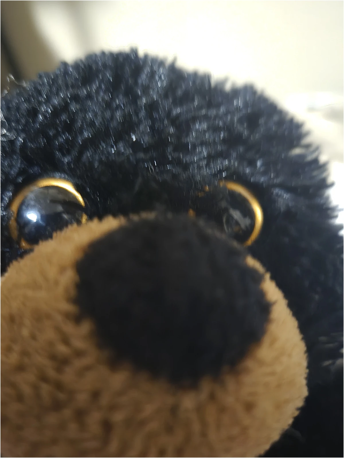 Boo-Boo | MaxyMcPrime Wiki | Fandom