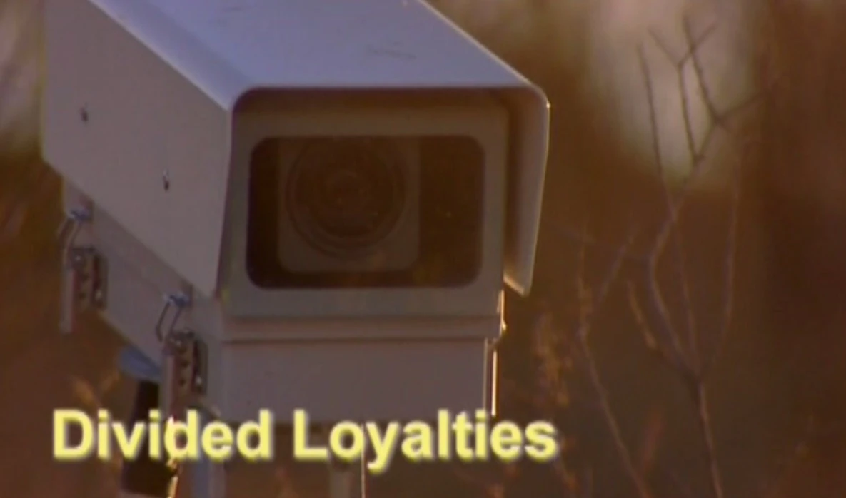 Divided Loyalties | Meerkats Wiki | Fandom