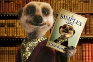 Compare the Meerkat | Meerkats Wiki | Fandom