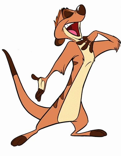 Timon Berkowitz | Meerkats Wiki | Fandom