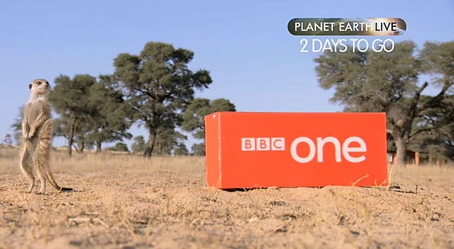Planet Earth Living Together