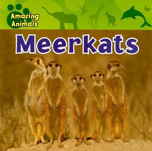 Amazing Animals: Meerkats | Meerkats Wiki | Fandom